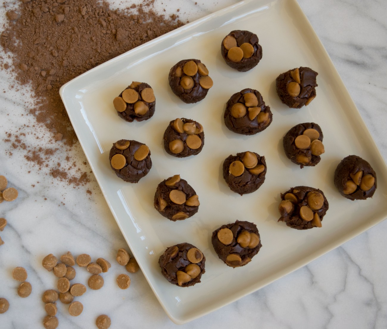 Peanut Butter Marshmallow Fudge Bites - Witten Kitchen